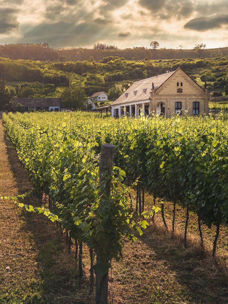 Home Travel&Wine - Travel & Wine